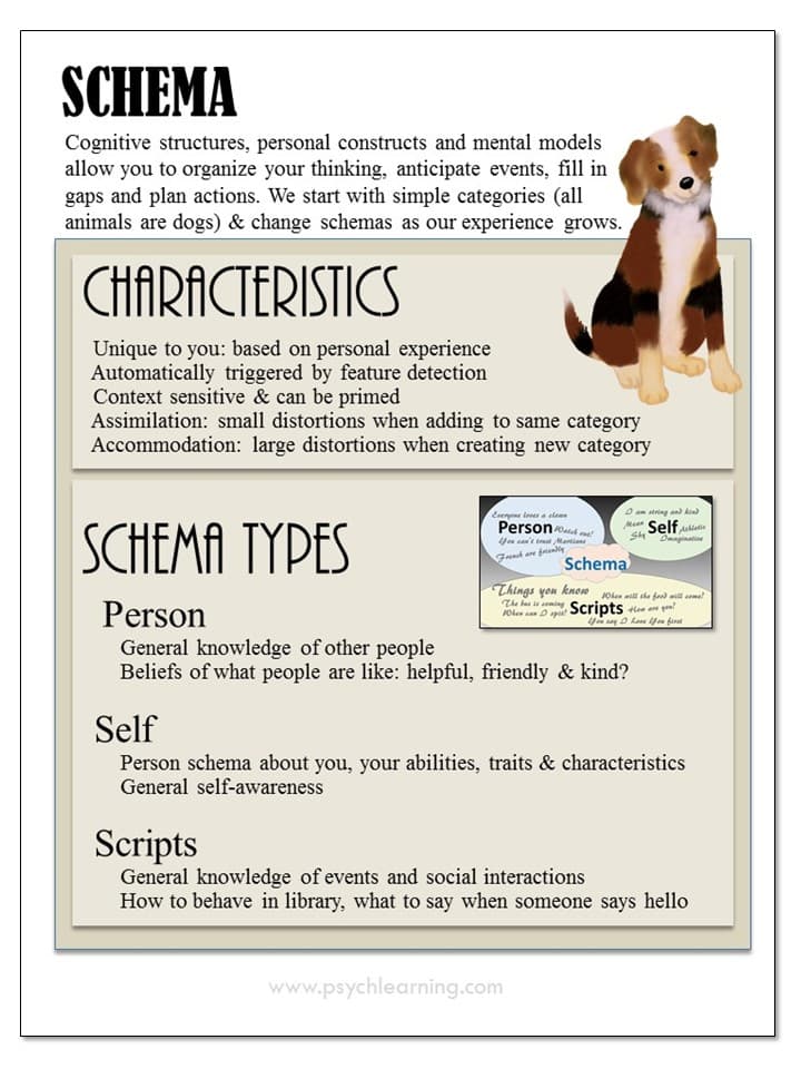 Schema Therapy Basic Principles Benefits Everything You Need To