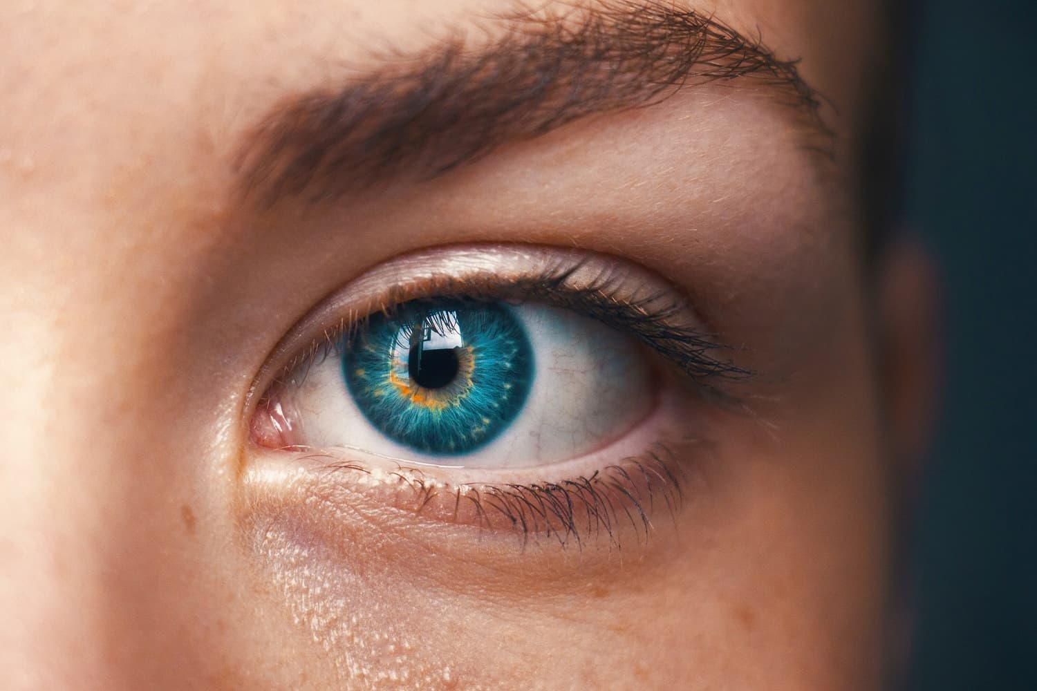 Iridology Australia What Is Iridology How Does It Work 